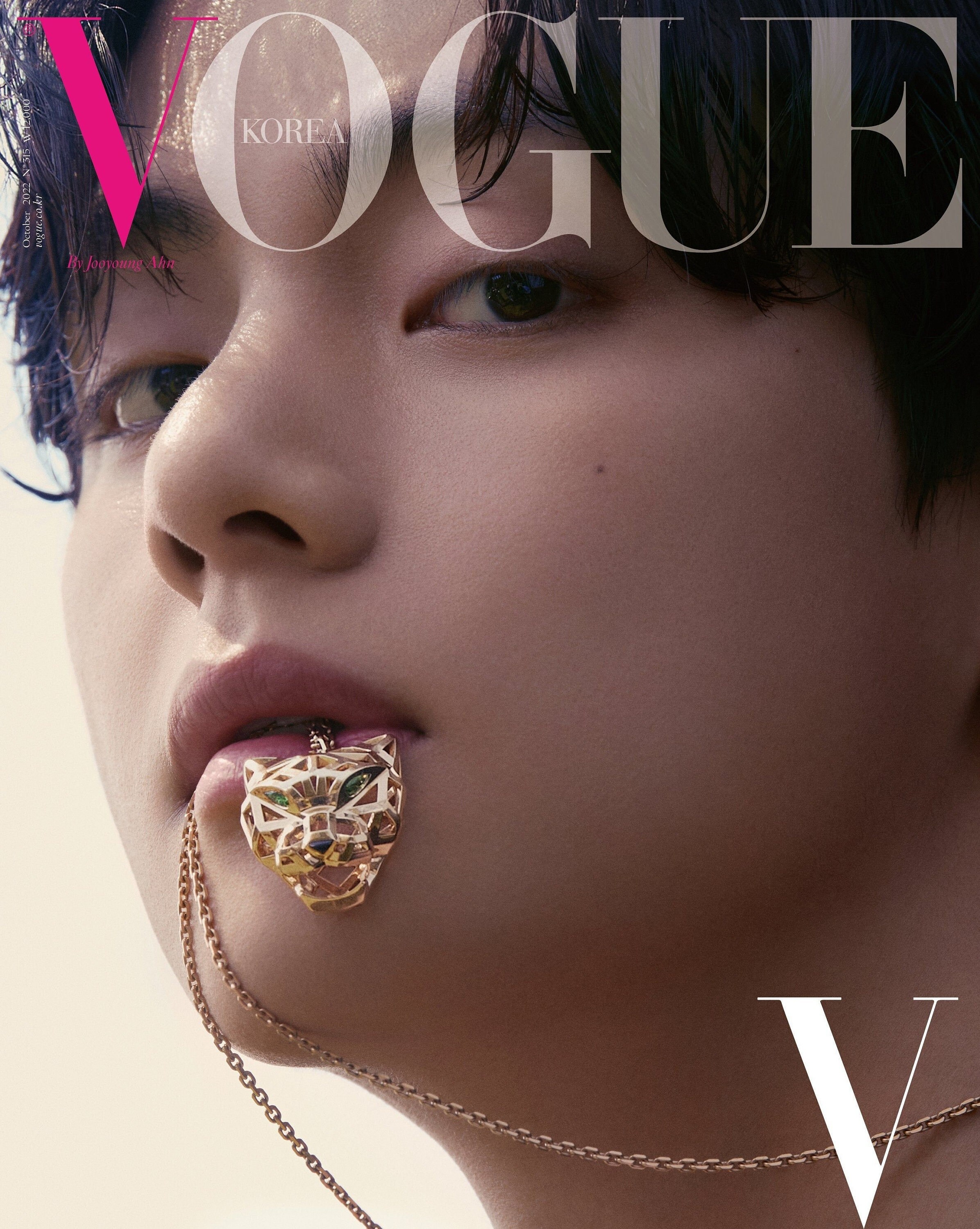 V 6 VOGUE KOREA COVERS - Etsy
