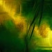 Envy, Wall Art, Digital Download, Prints, Wall Set, Decor, Abstract ...