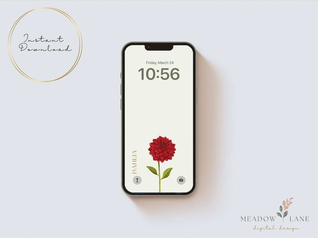 Dahlia Apple iPhone Wallpaper | Spring Floral iPhone Background ...