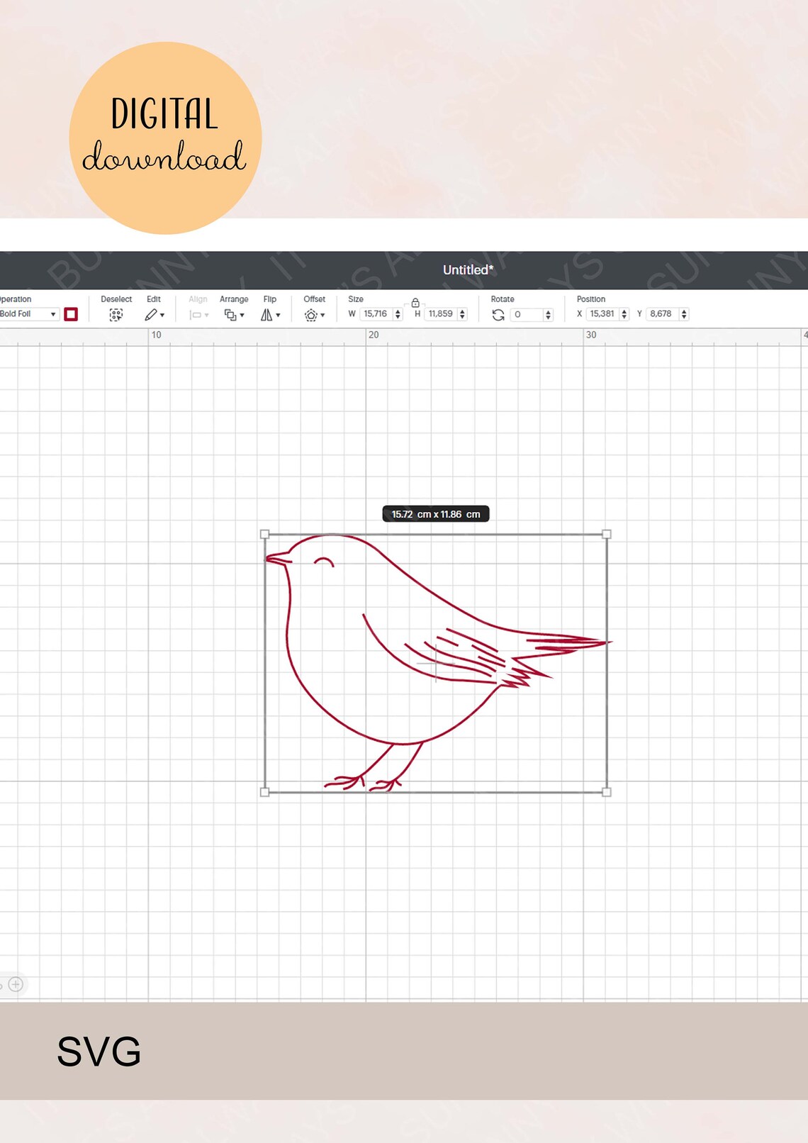 Robin Bird SVG Draw Tool File Fro Cricut - Etsy