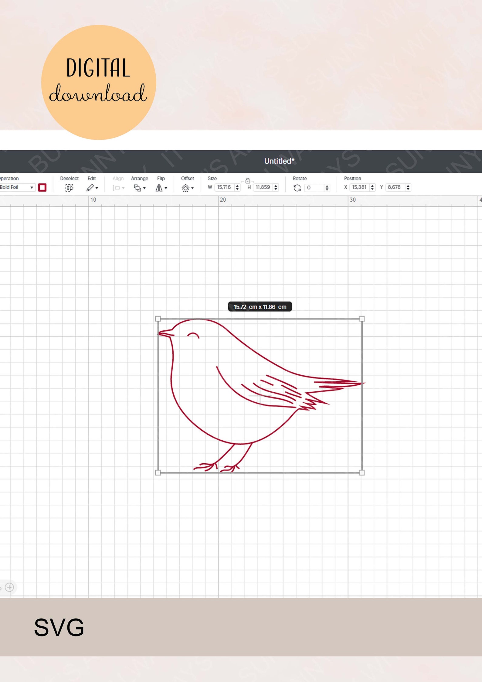 Robin Bird SVG Draw Tool File Fro Cricut - Etsy