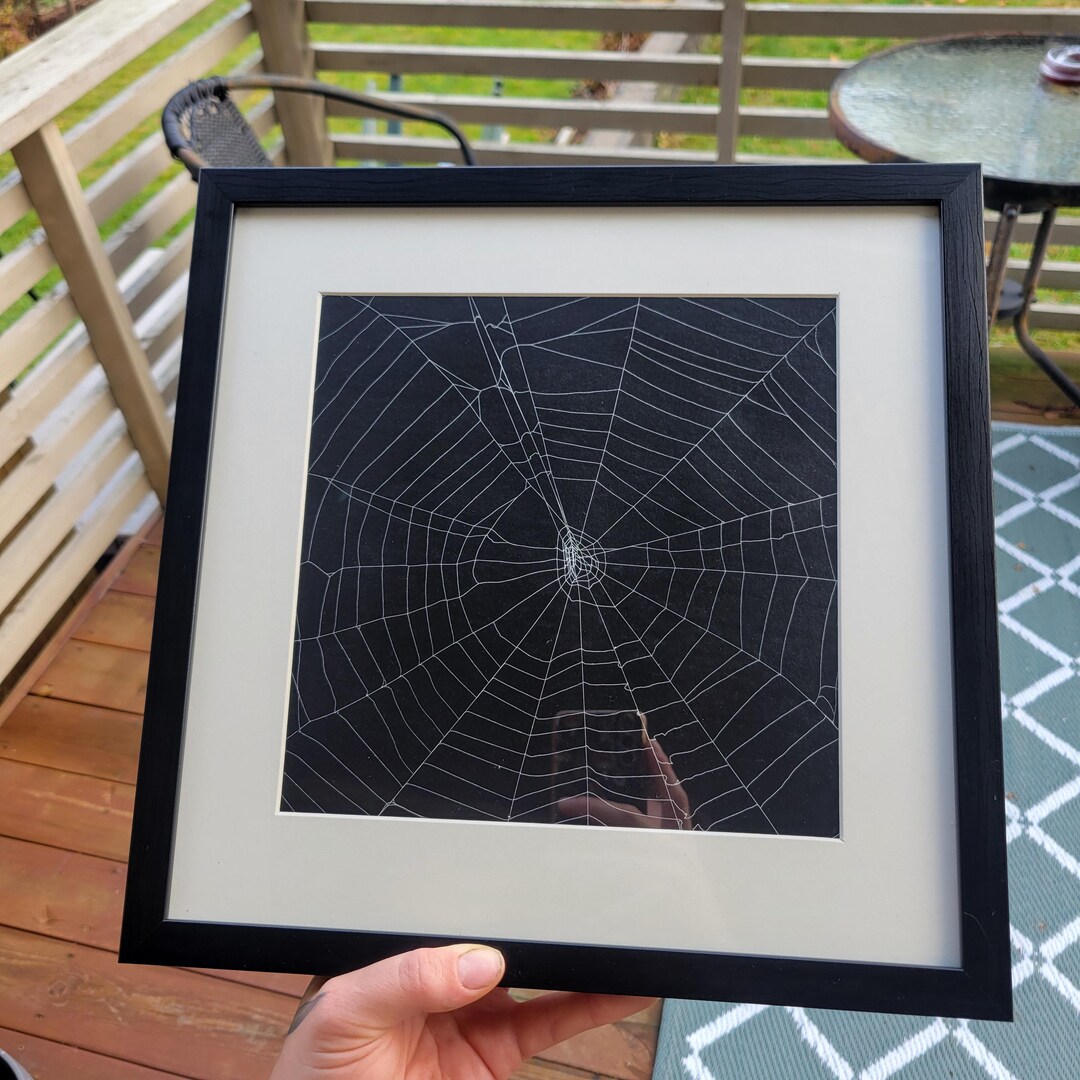 Large Framed Spiderweb - Etsy