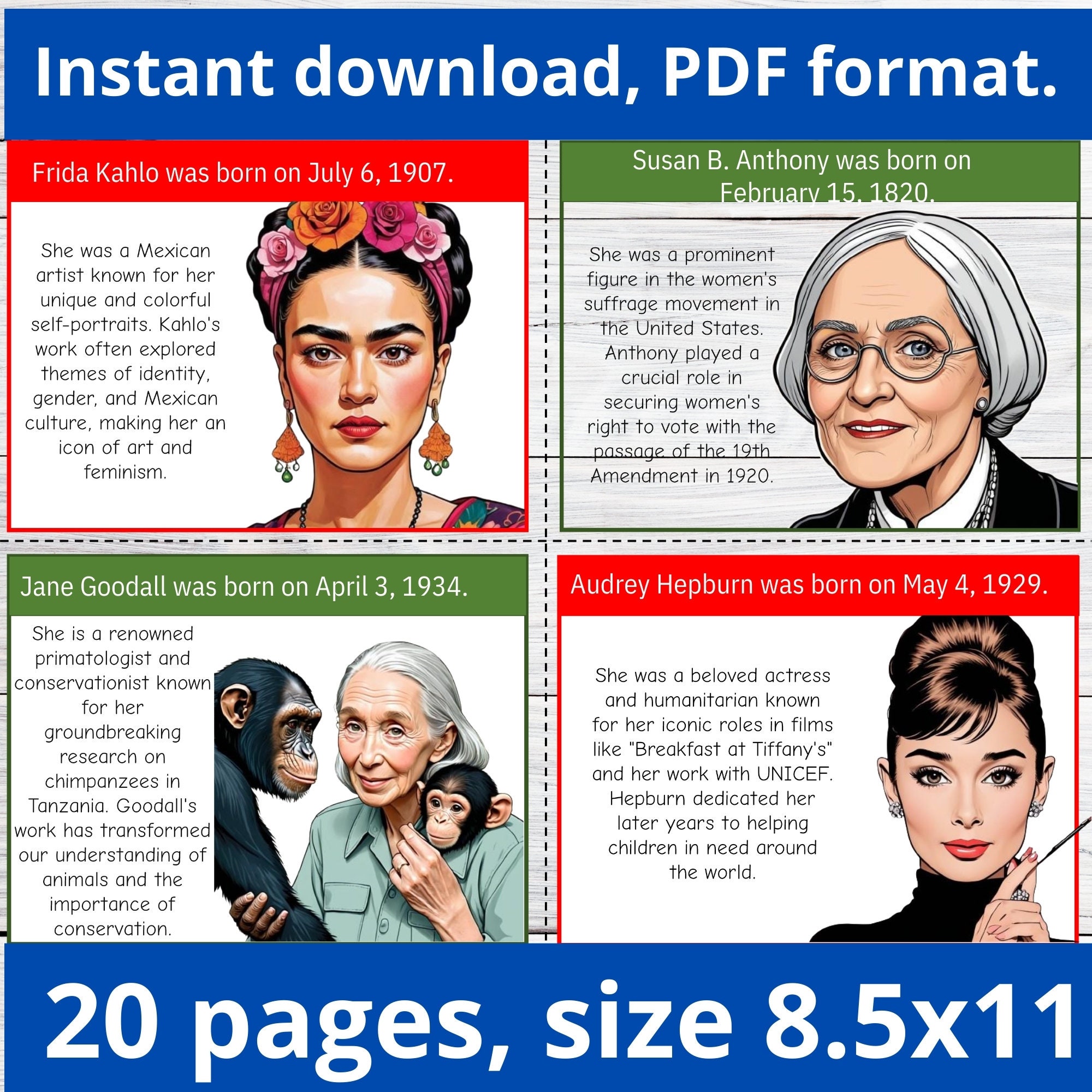 Women's History Month Biography Posters | Famous People Biography ...