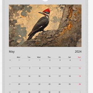 Birds Wall Calendar 2025, Birds Fine Art Paints Calendar. Birdwatcher ...
