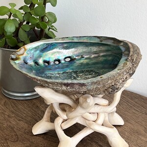Wooden Stands for Abalone Shells Medium Large - Etsy