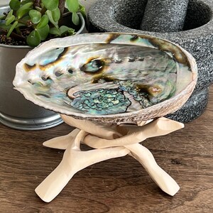 Wooden Stands for Abalone Shells Medium Large - Etsy