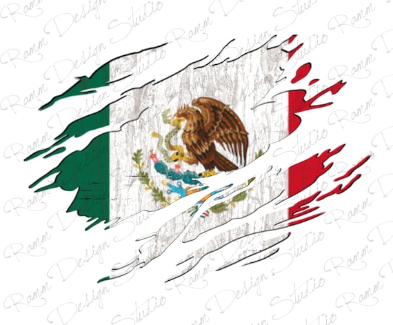 Cartel De Bandera Mexicana Transparente