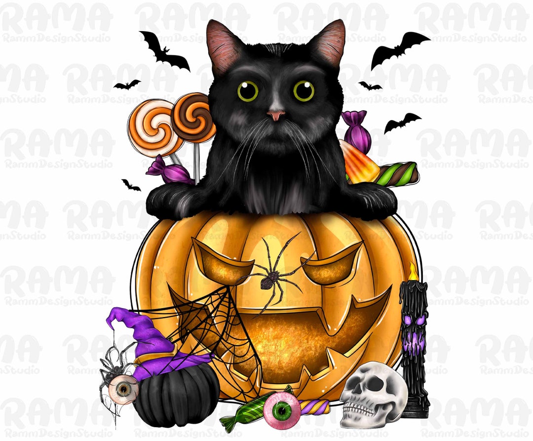 Black Cat on Pumpkin Halloween PNG, Pumpkin Ghost Clipart, Fall PNG ...