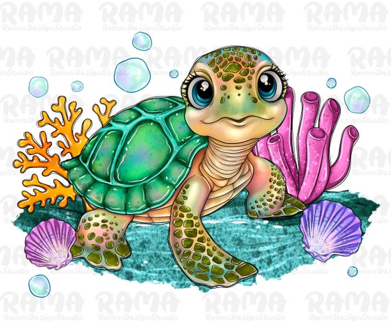 Turtle Image Clipart