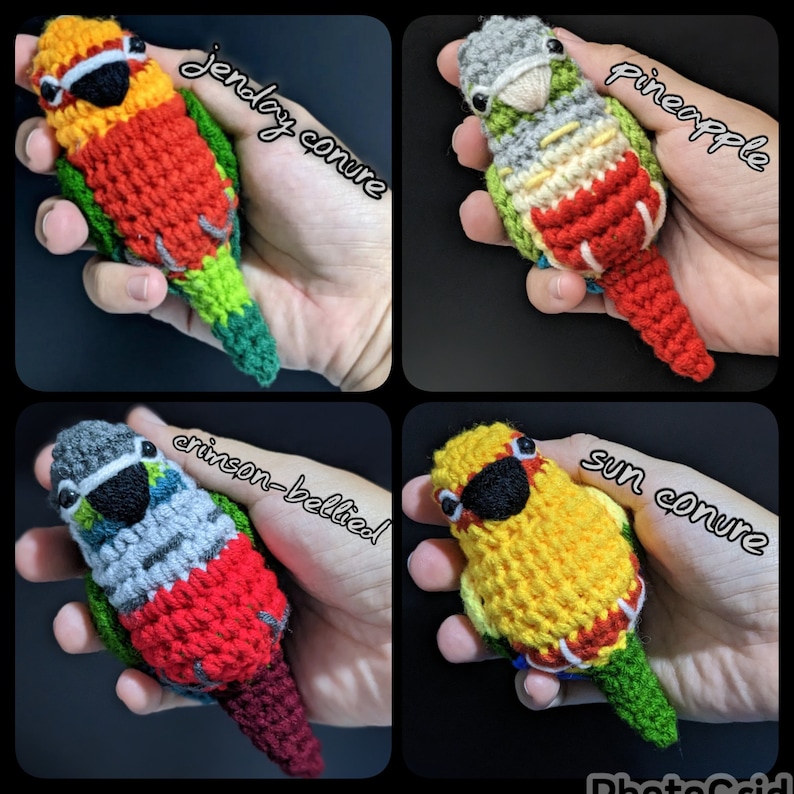 Crochet Conure Parrot Amigurumi - Etsy