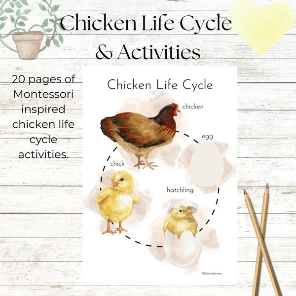 Chicken Egg Life Cycle - Etsy