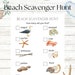 Beach Scavenger Hunt: Spot These Natural Features When Enjoying a Visit ...