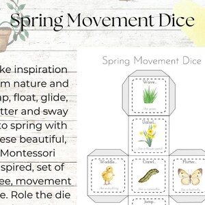 Affirmation Station: Eucalyptus Inspirational Affirmations for a Serene ...