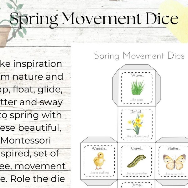 Affirmation Station: Eucalyptus Inspirational Affirmations for a Serene ...