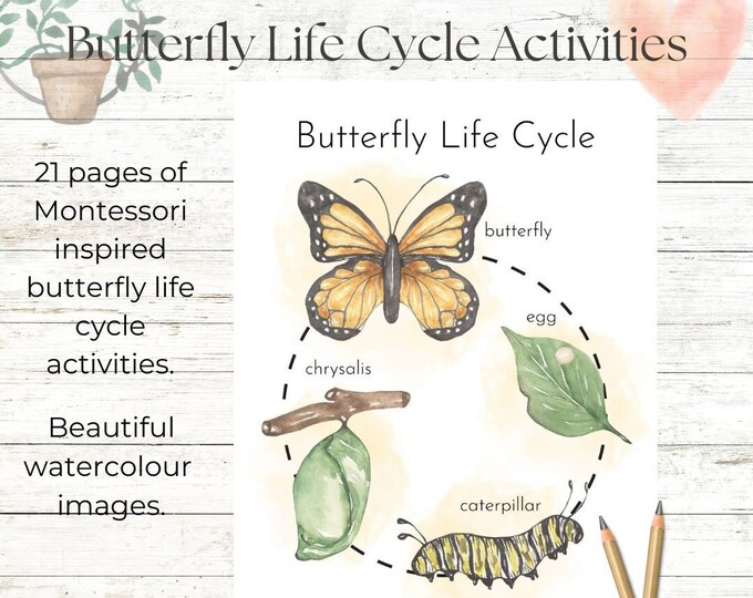 Montessori-inspired Butterfly Life Cycle Mini Unit: A Nature Lover's ...