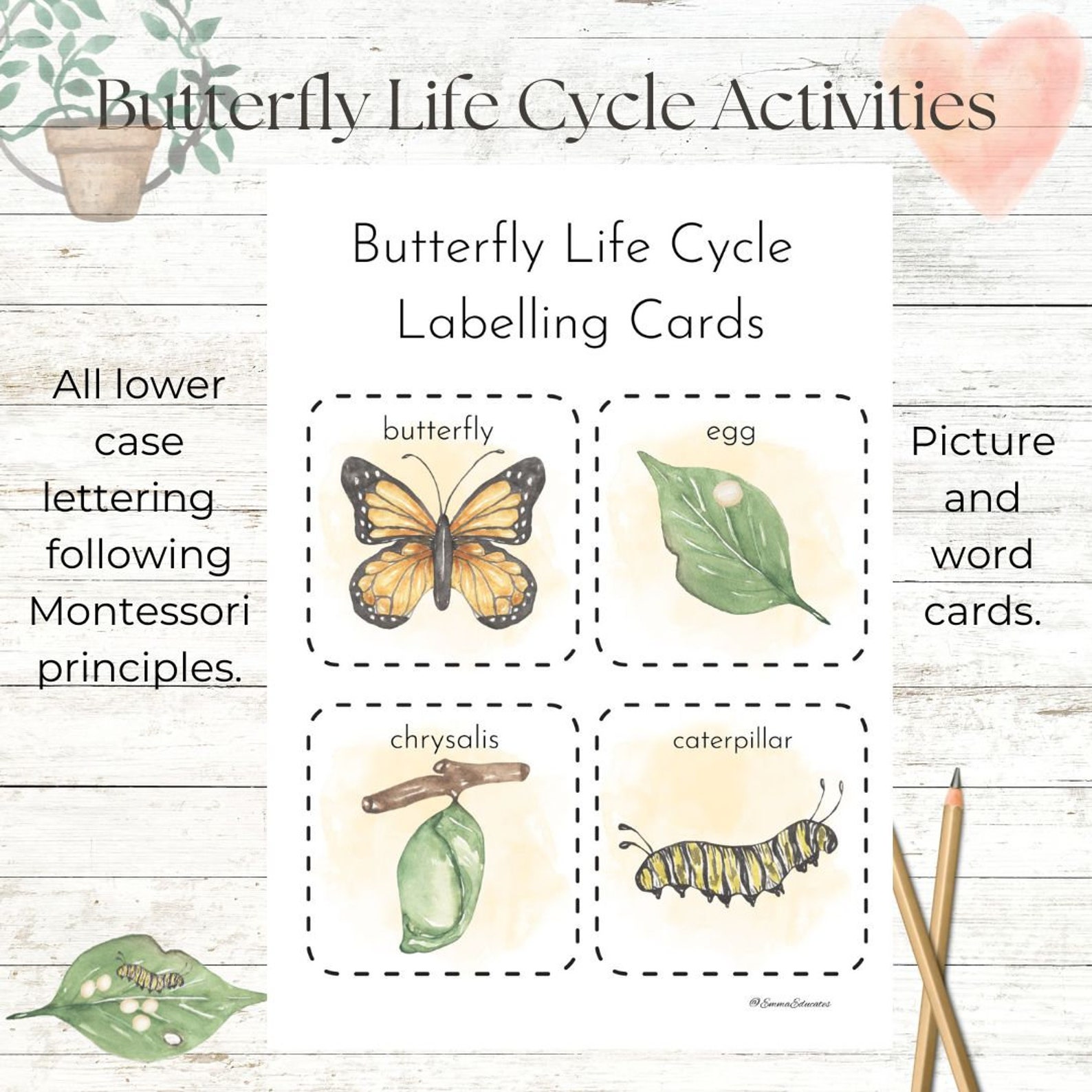 Montessori-inspired Butterfly Life Cycle Mini Unit: A Nature Lover's ...