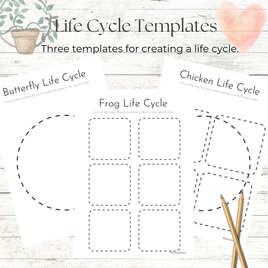 Life Cycle Bundle: Explore Life Cycles of Frogs Butterflies - Etsy