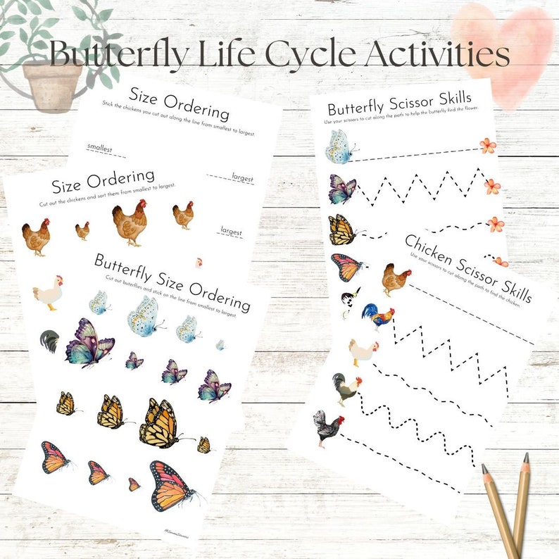 Life Cycle Bundle: Explore Life Cycles of Frogs, Butterflies, and ...