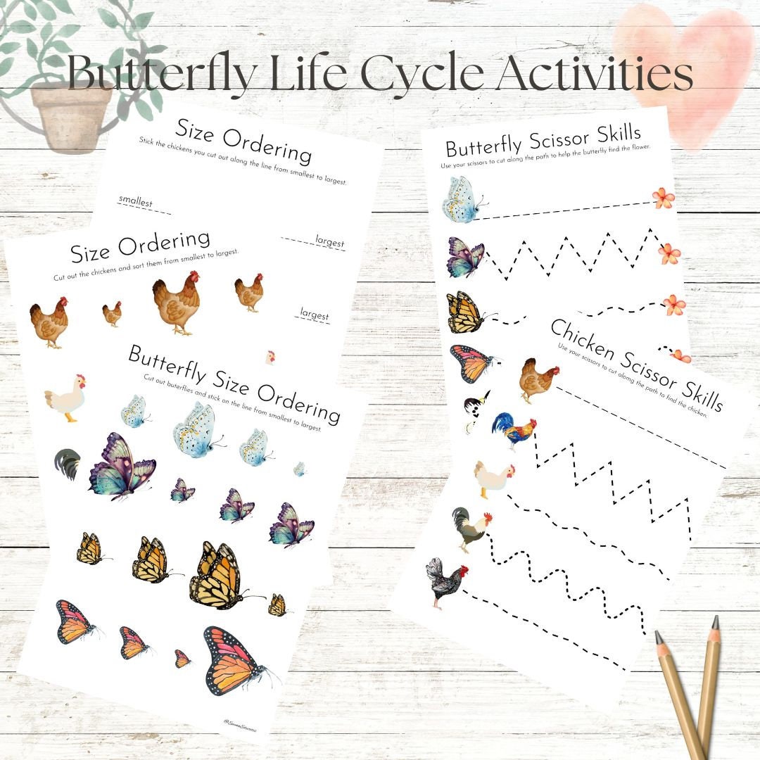 Life Cycle Bundle: Explore Life Cycles of Frogs Butterflies - Etsy