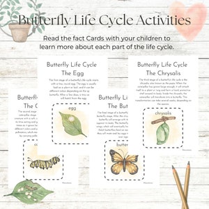 Montessori-inspired Butterfly Life Cycle Mini Unit: A Nature Lover's ...