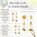Bee-utiful Bee Life Cycle Learning: Montessori-inspired Activities and ...