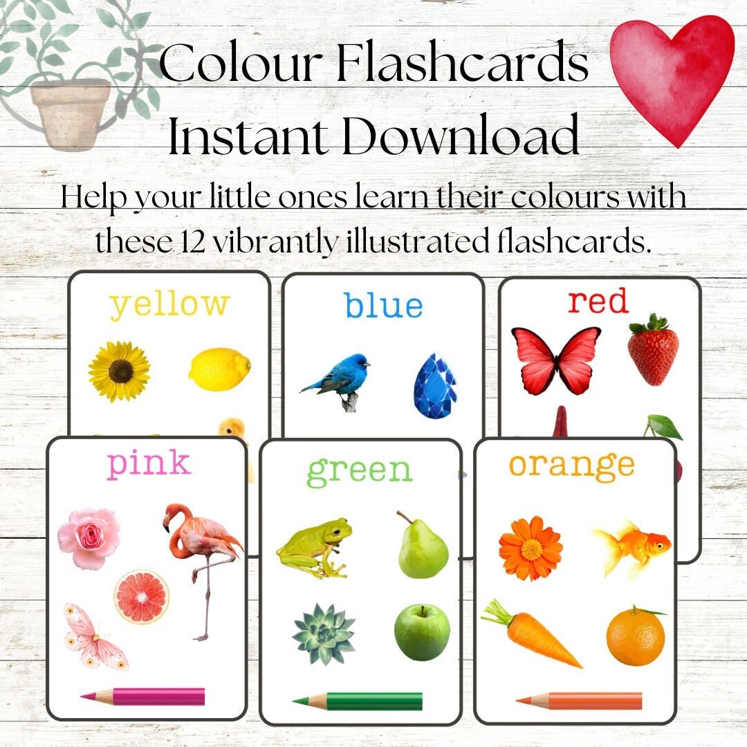 Natural World Inspired Flashcards to Help Your Child Learn Their ...