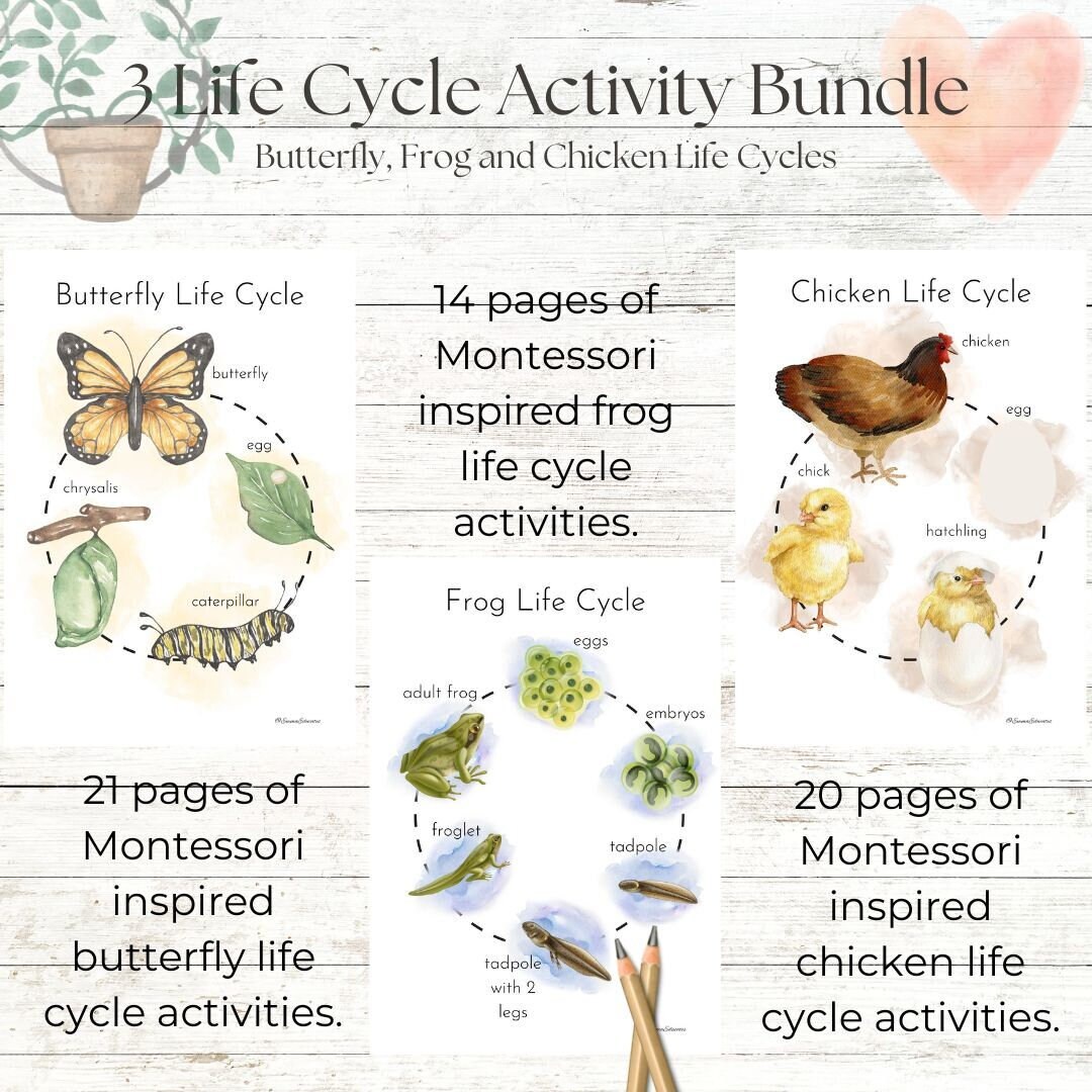 Life Cycle Bundle: Explore Life Cycles of Frogs Butterflies - Etsy