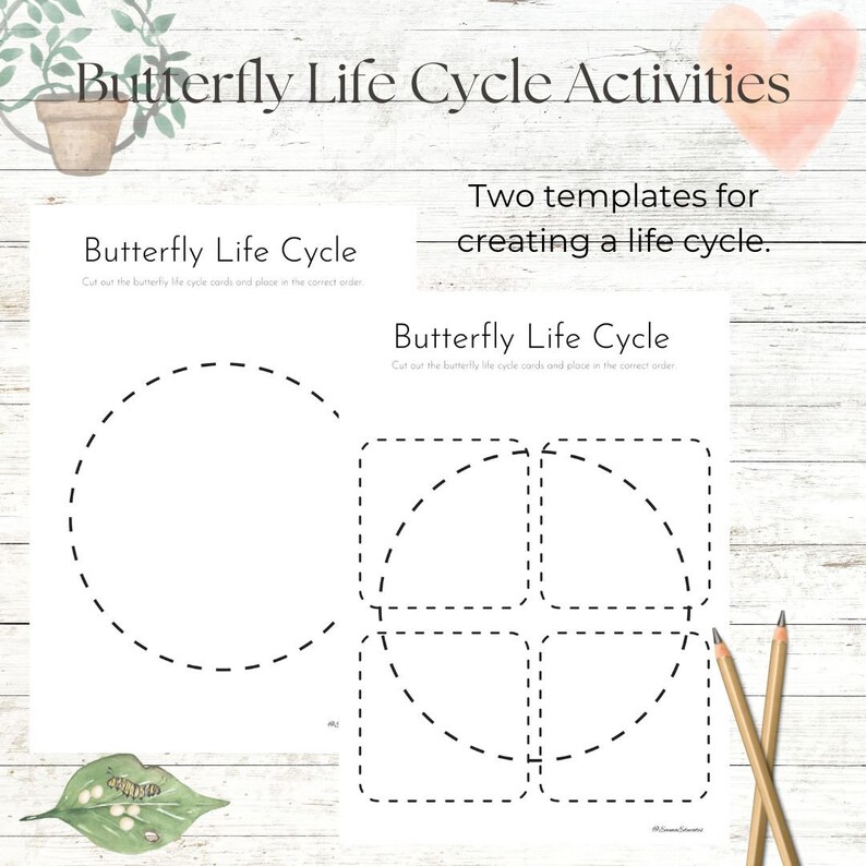 Montessori-inspired Butterfly Life Cycle Mini Unit: A Nature Lover's ...