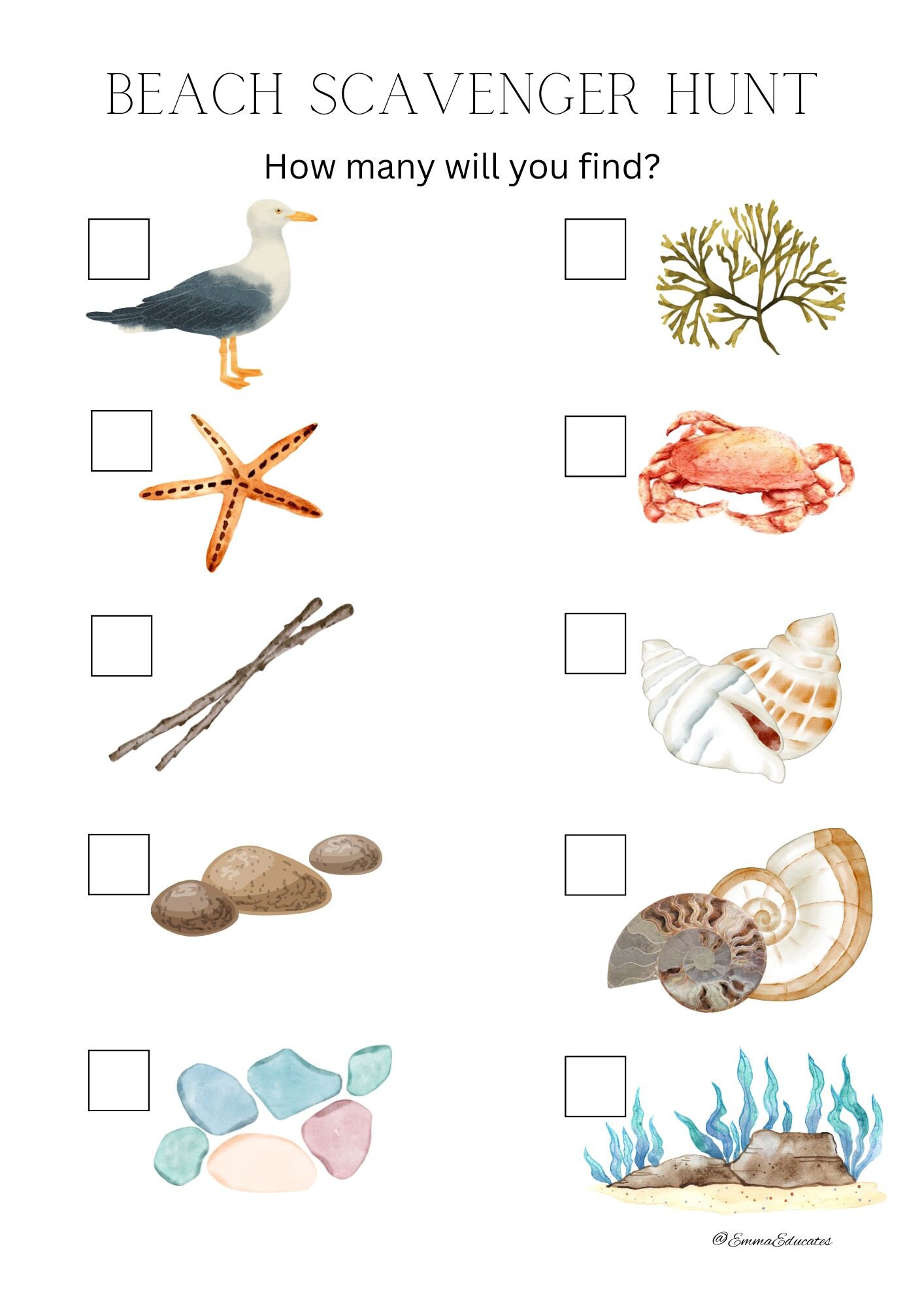 Beach Scavenger Hunt: Spot These Natural Features When Enjoying a Visit ...