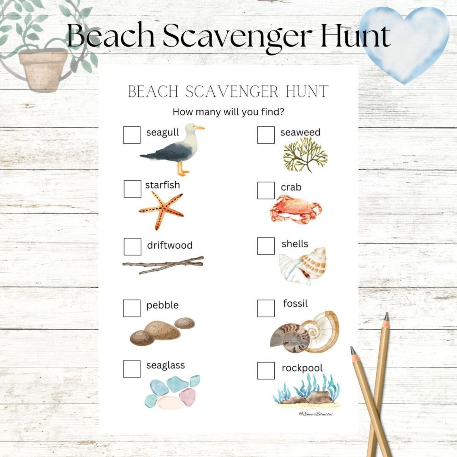 Beach Scavenger Hunt: Spot These Natural Features When Enjoying a Visit ...