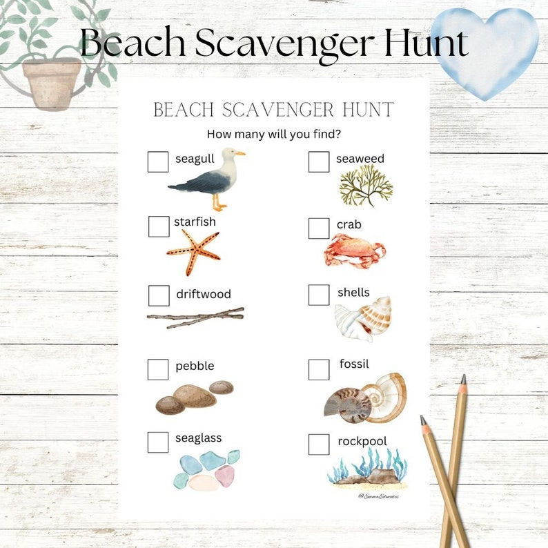 Beach Scavenger Hunt: Spot These Natural Features When Enjoying a Visit ...