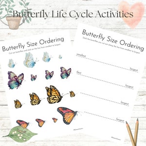 Montessori-inspired Butterfly Life Cycle Mini Unit: A Nature Lover's ...