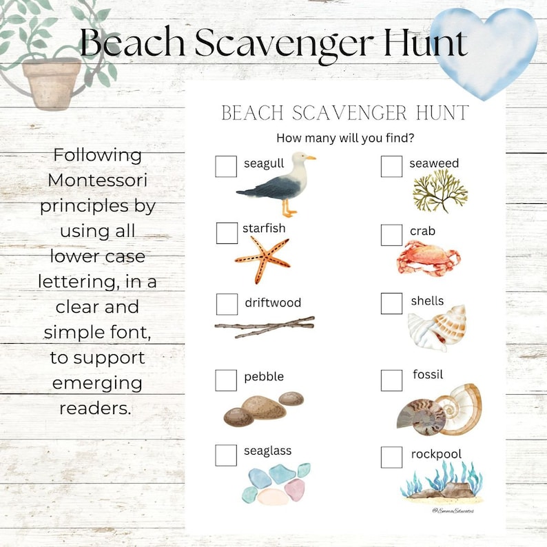 Beach Scavenger Hunt: Spot These Natural Features When Enjoying a Visit ...