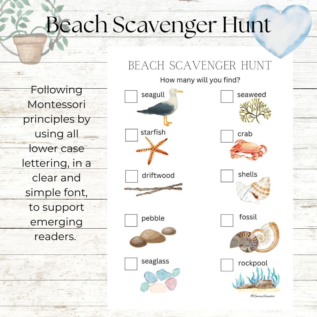 Beach Scavenger Hunt: Spot These Natural Features When Enjoying a Visit ...