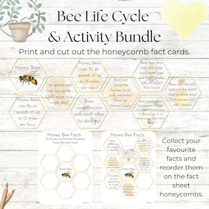 Bee-utiful Bee Life Cycle Learning: Montessori-inspired Activities and ...