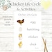 Egg-citing Chicken Life Cycle Activities: Montessori-inspired Unit for ...