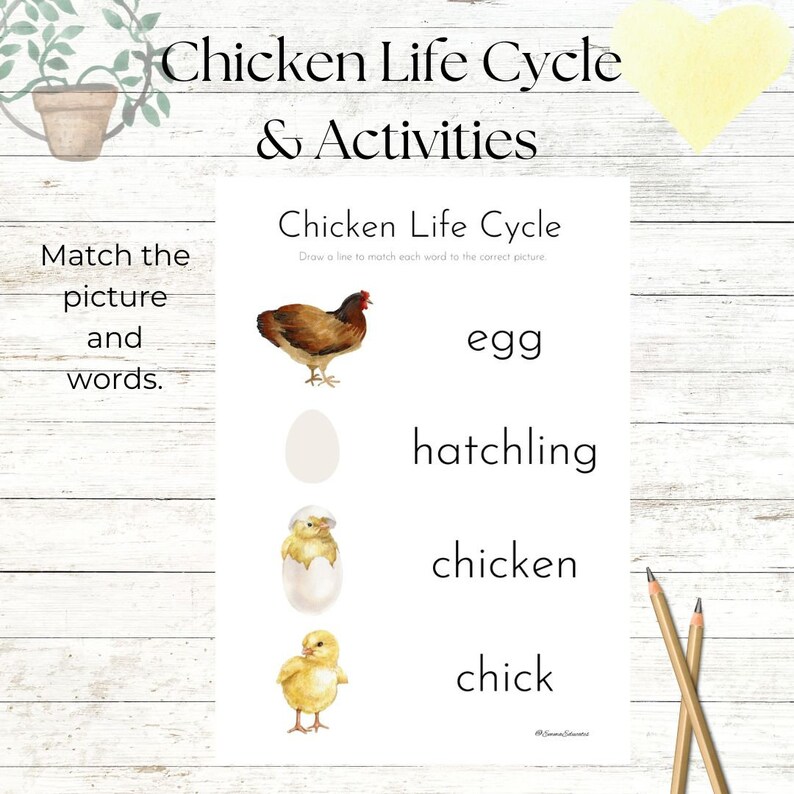 Egg-citing Chicken Life Cycle Activities: Montessori-inspired Unit for ...