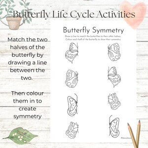 Montessori-inspired Butterfly Life Cycle Mini Unit: A Nature Lover's ...