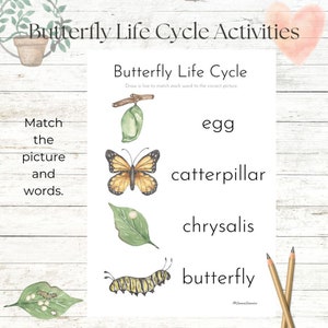 Montessori-inspired Butterfly Life Cycle Mini Unit: A Nature Lover's ...