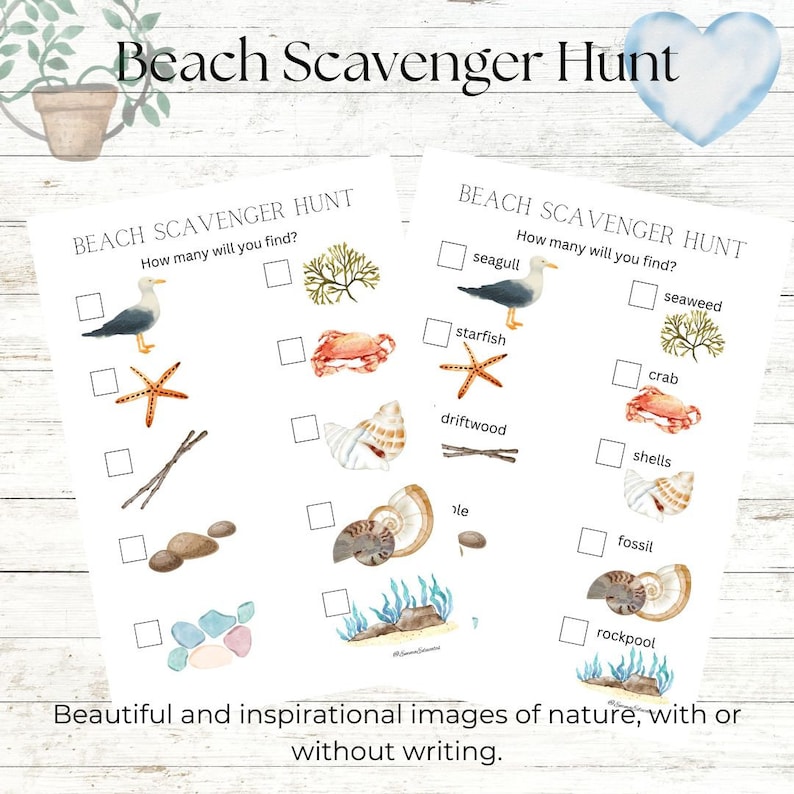 Beach Scavenger Hunt: Spot These Natural Features When Enjoying a Visit ...