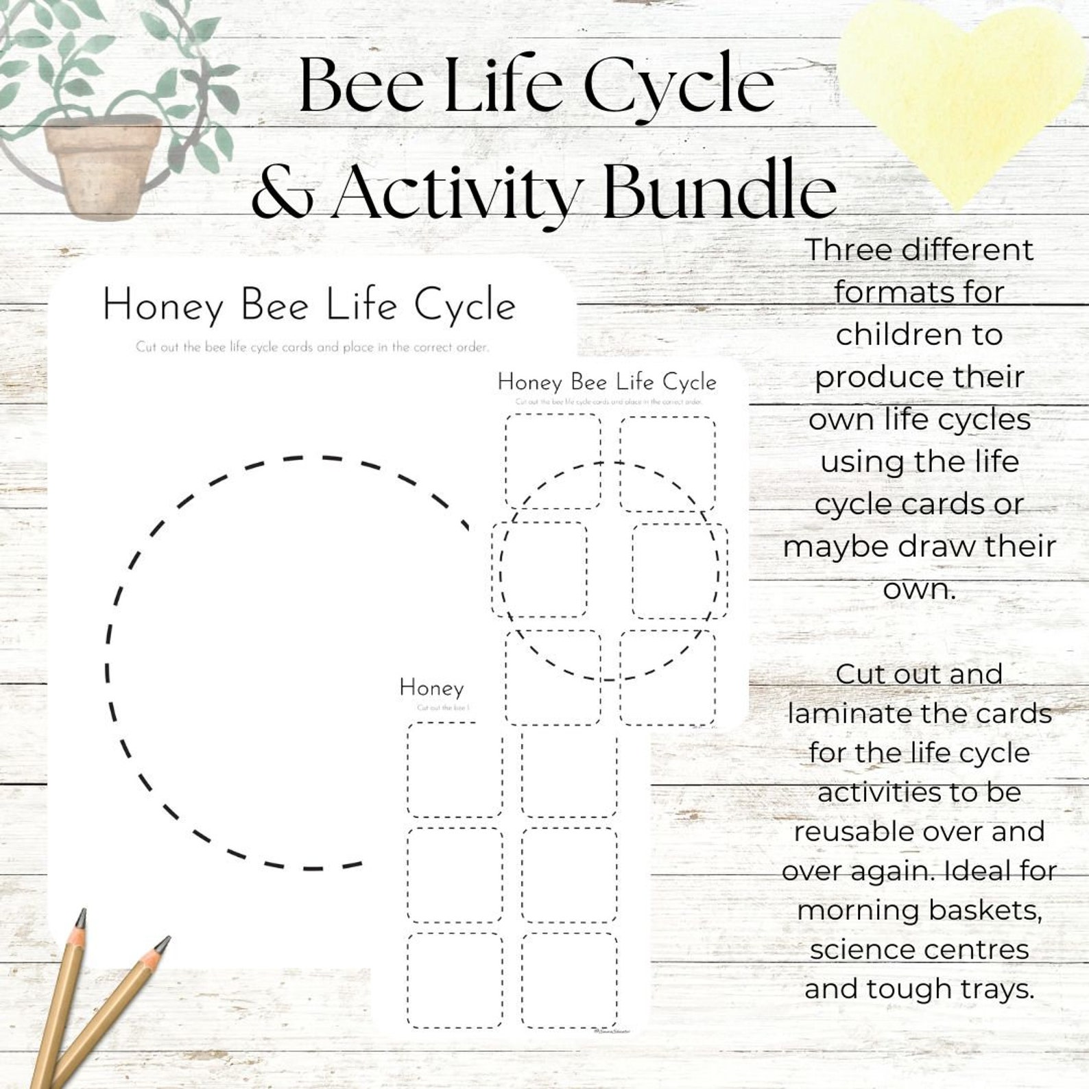 Bee-utiful Bee Life Cycle Learning: Montessori-inspired Activities and ...