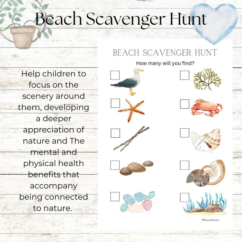 Beach Scavenger Hunt: Spot These Natural Features When Enjoying a Visit ...