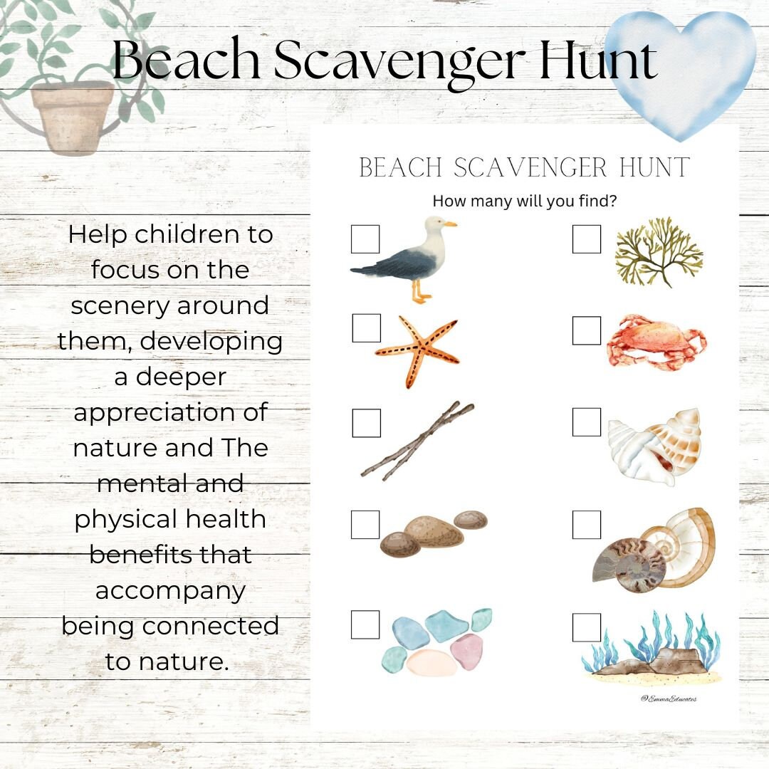 Beach Scavenger Hunt: Spot These Natural Features When Enjoying a Visit ...