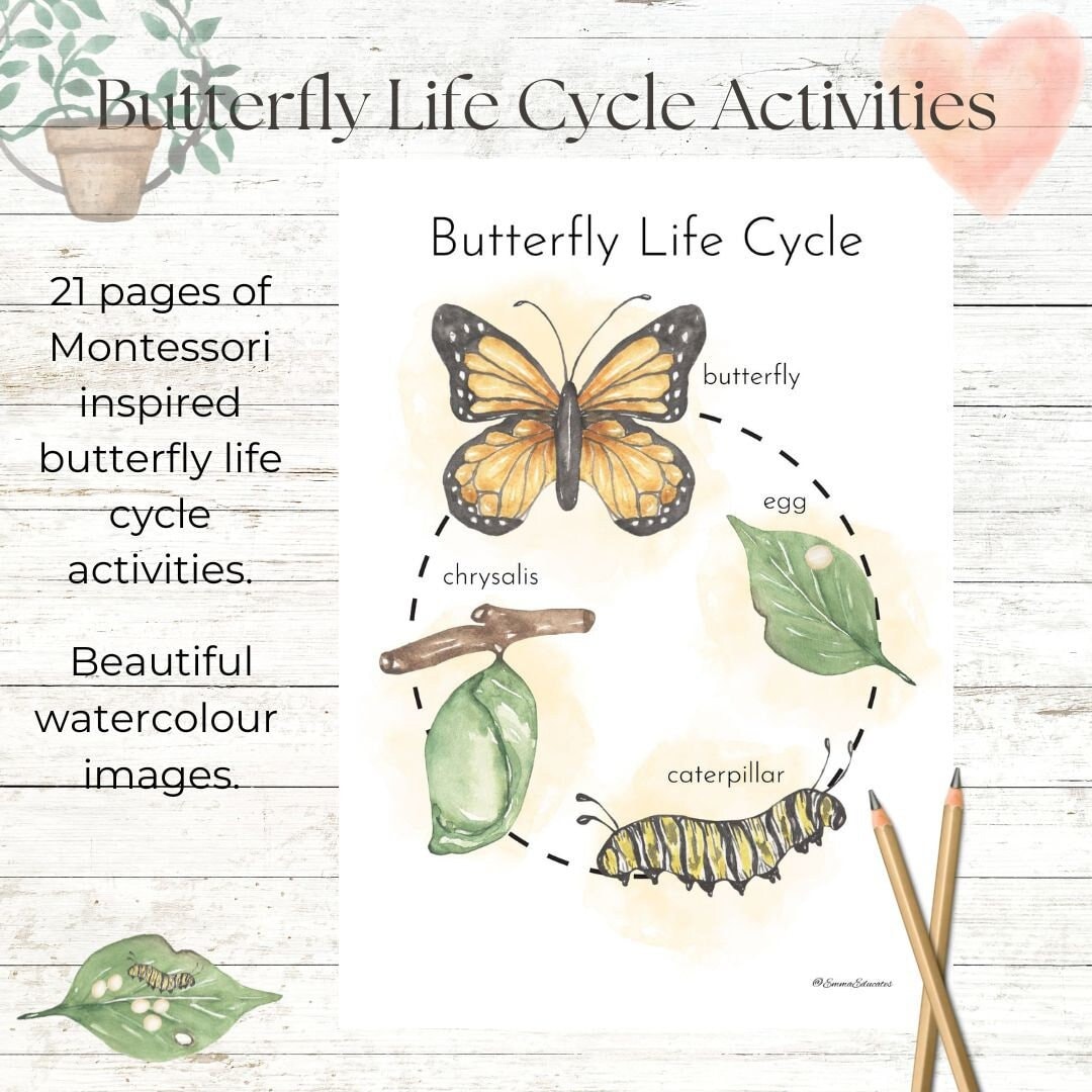 Montessori-inspired Butterfly Life Cycle Mini Unit: A Nature Lover's ...