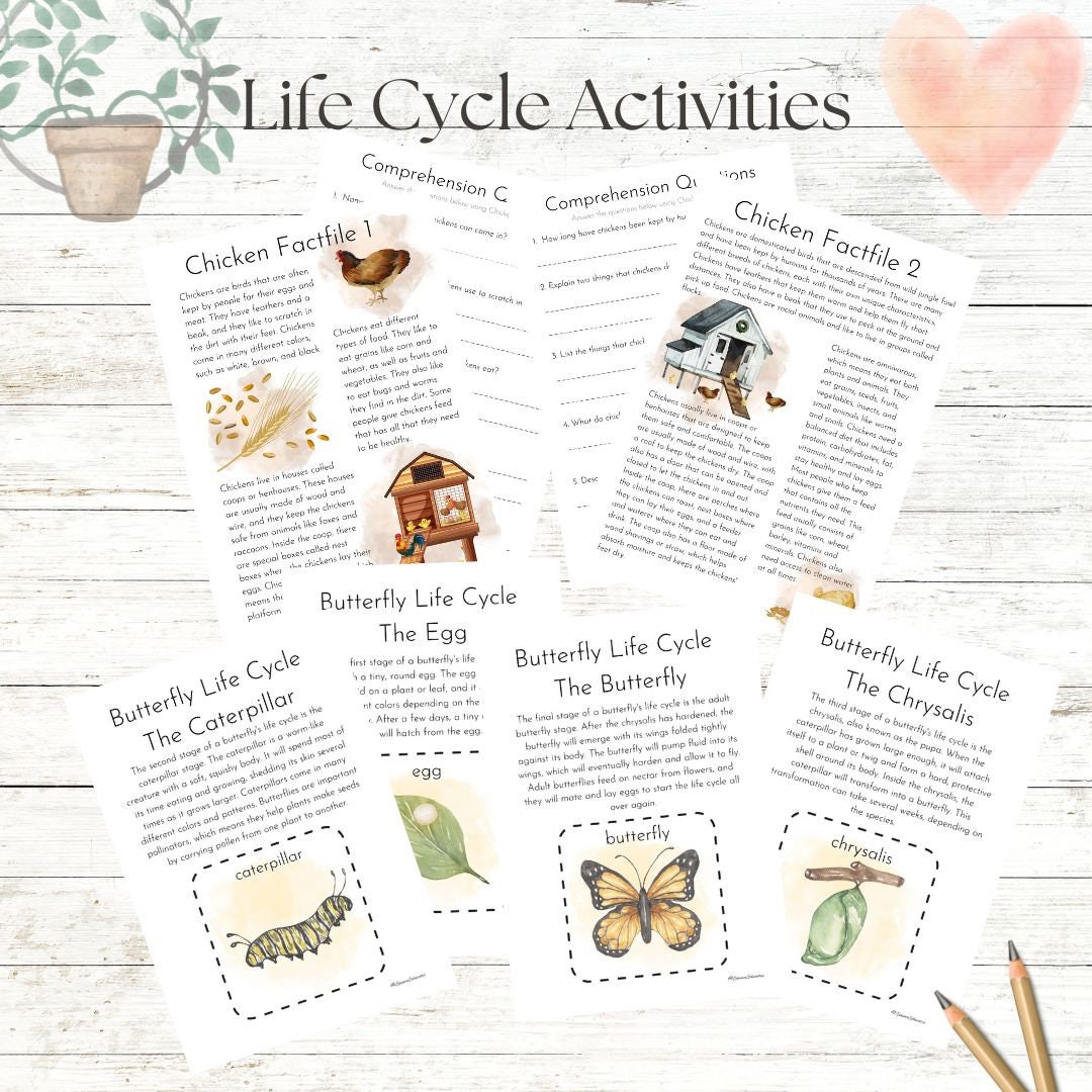 Life Cycle Bundle: Explore Life Cycles of Frogs Butterflies - Etsy