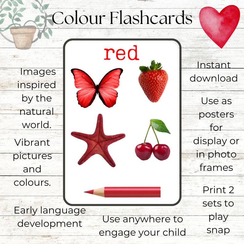 Natural World Inspired Flashcards to Help Your Child Learn Their ...