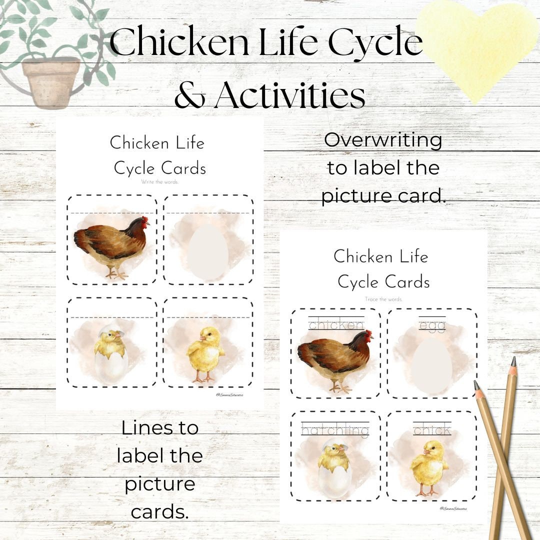 Egg-citing Chicken Life Cycle Activities: Montessori-inspired Unit for ...