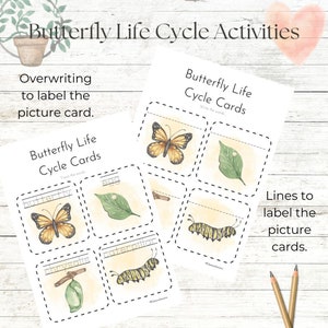 Montessori-inspired Butterfly Life Cycle Mini Unit: A Nature Lover's ...