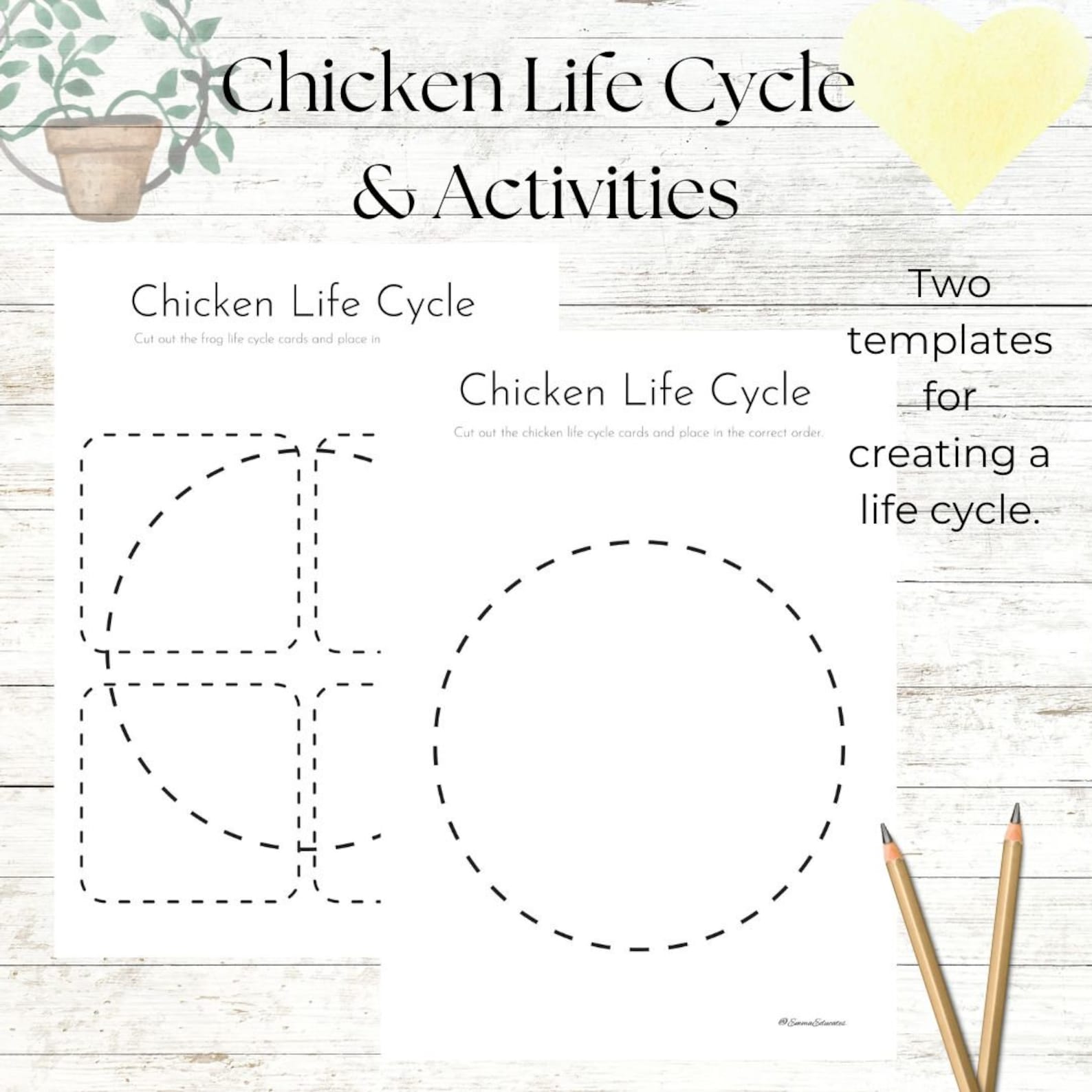 Egg-citing Chicken Life Cycle Activities: Montessori-inspired Unit for ...