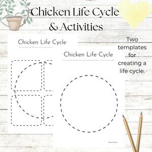 Egg-citing Chicken Life Cycle Activities: Montessori-inspired Unit for ...